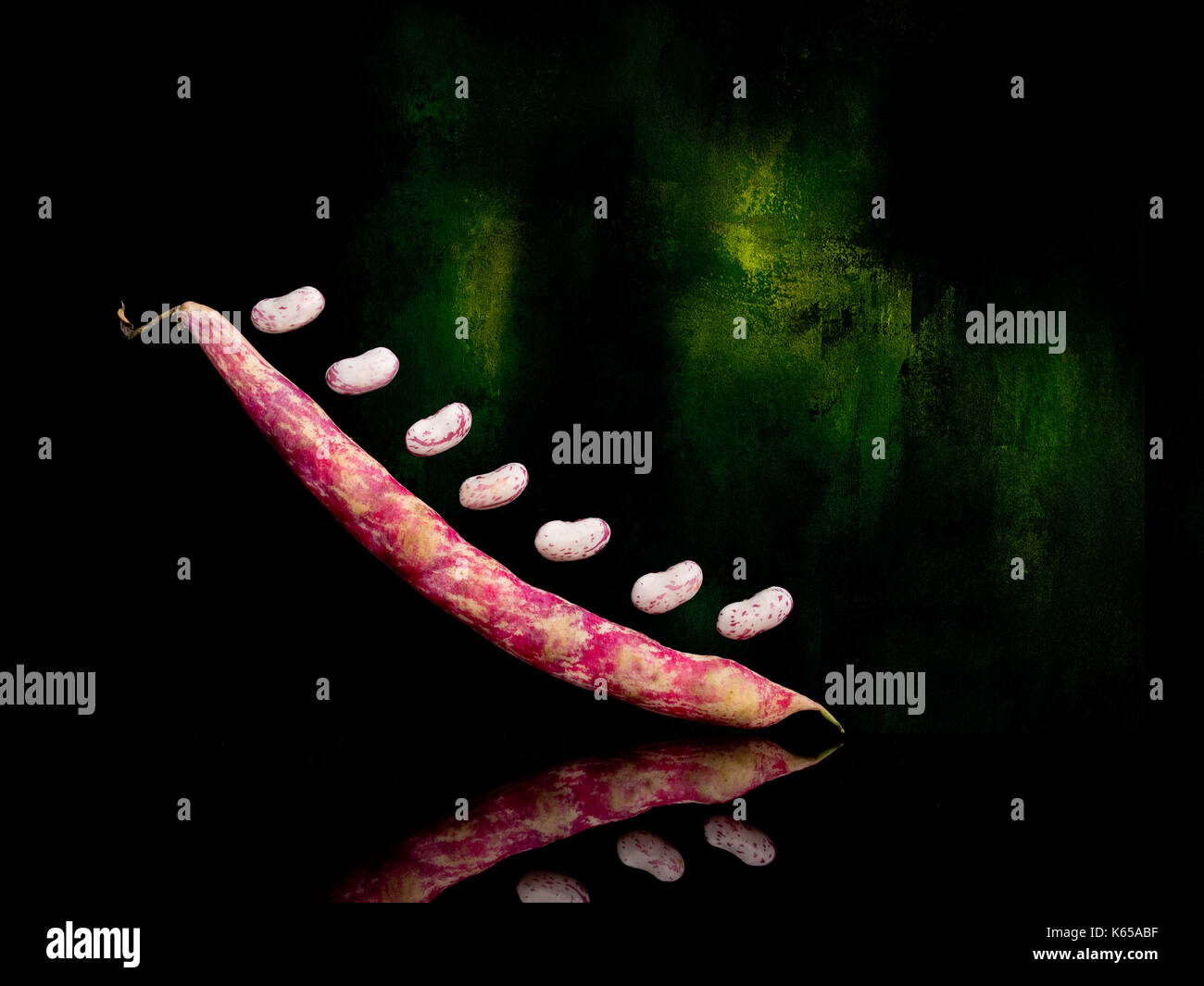 Dark food still life. Borlotti bean. Aka Cranberry bean, Roman bean ...