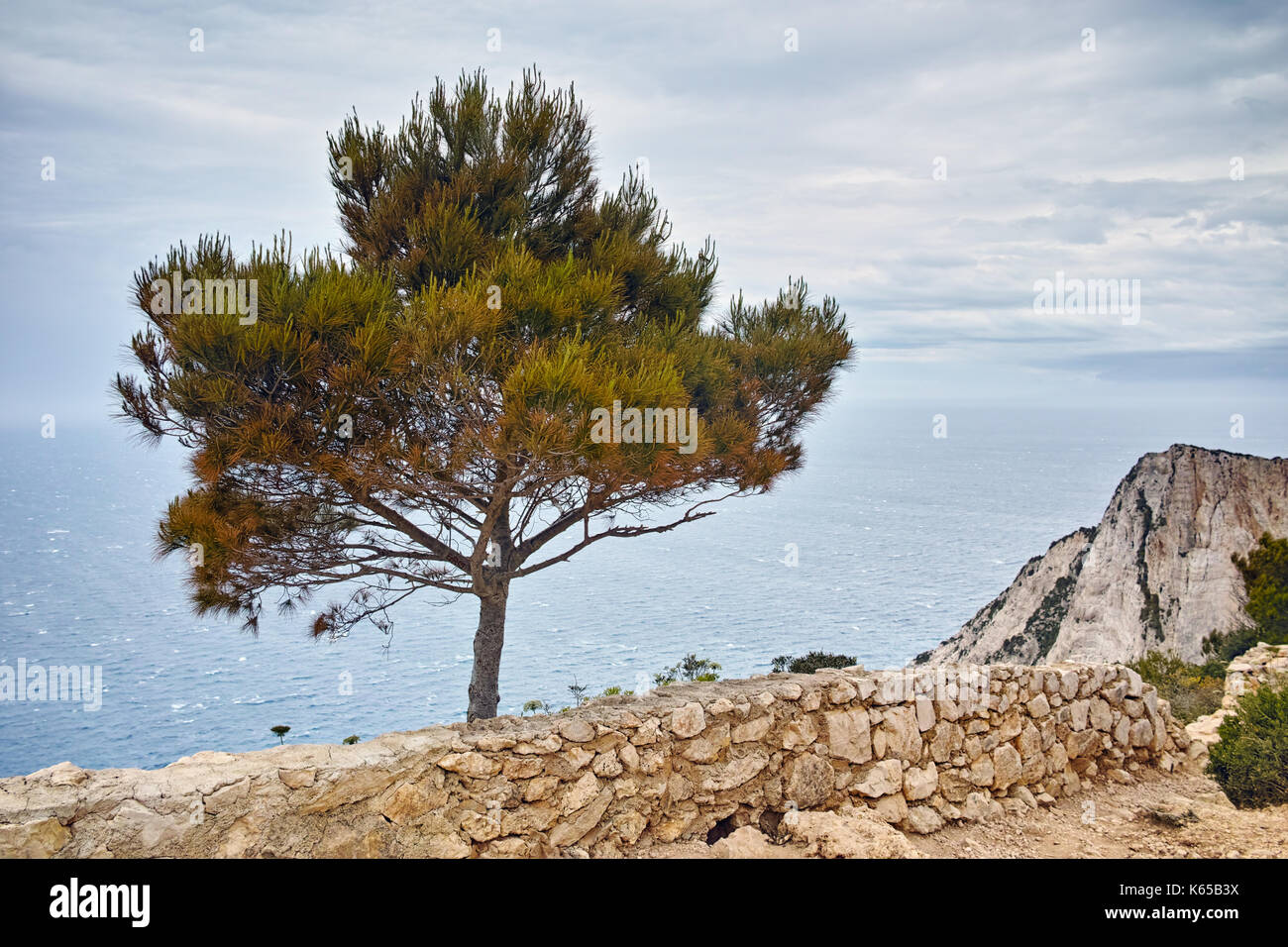 Amazing Panorama with tree at Zakynthos island, Greece Stock Photo - Alamy