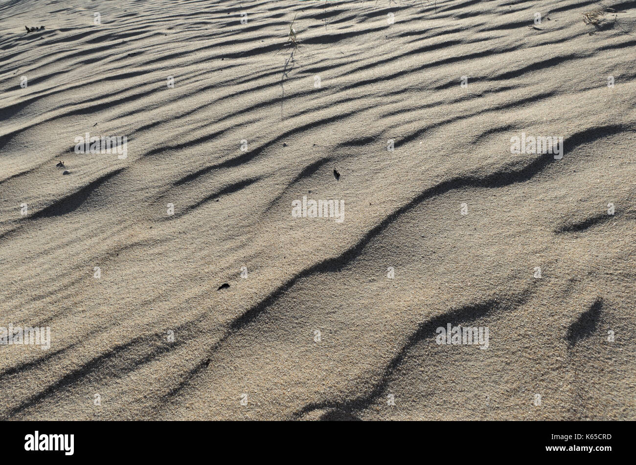 Beach sand texture formed by wind. Natural backgrounds Stock Photo - Alamy