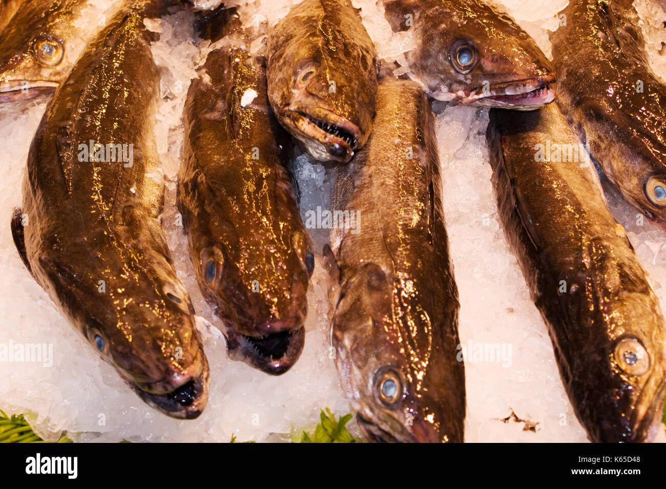 Barcelona food market fish hi-res stock photography and images - Alamy