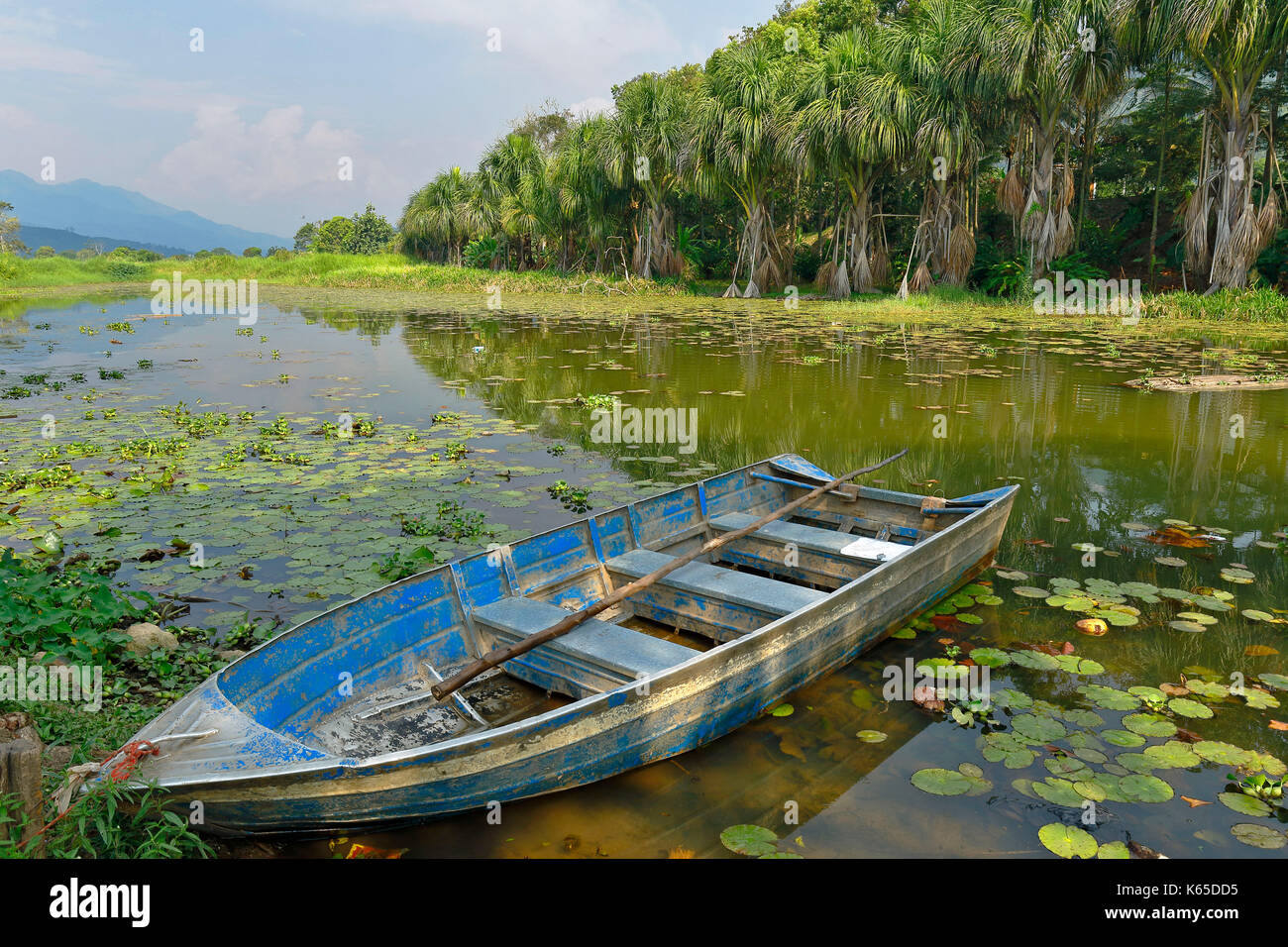 raft floating over wetland Stock Photo - Alamy