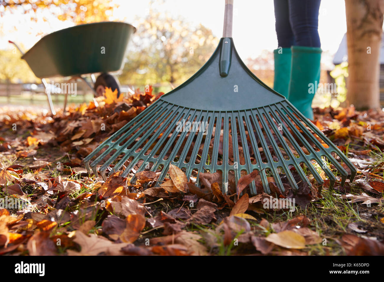 Woman rake uk garden hi-res stock photography and images - Alamy