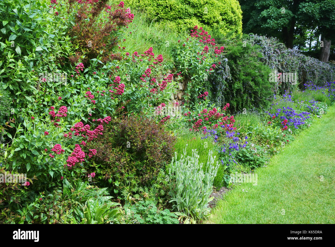 Border gardens hi-res stock photography and images - Alamy