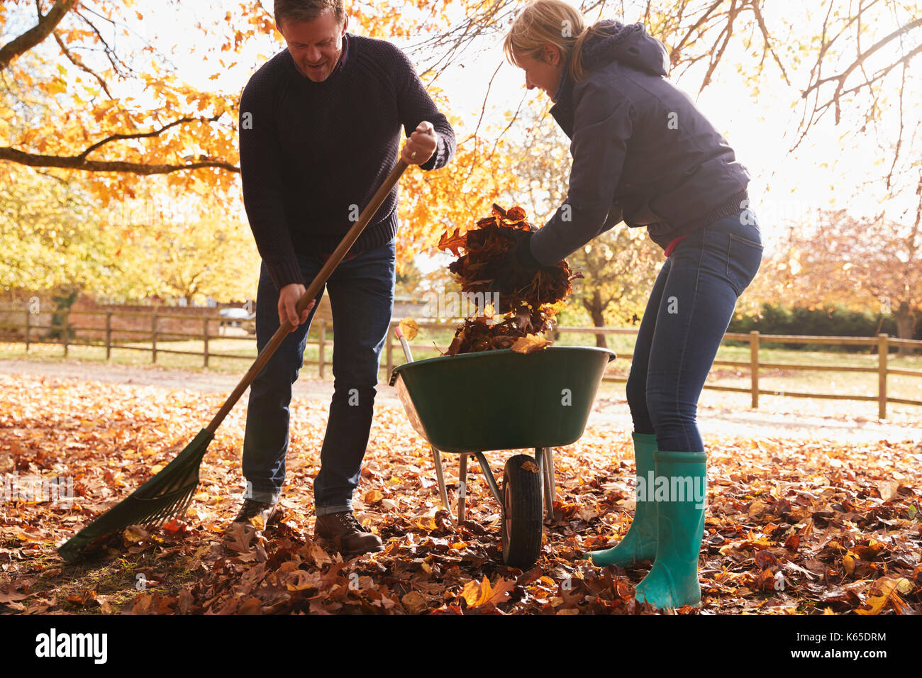 Mature Couple Raking Autumn Leaves in Garden Stock Photo - Alamy