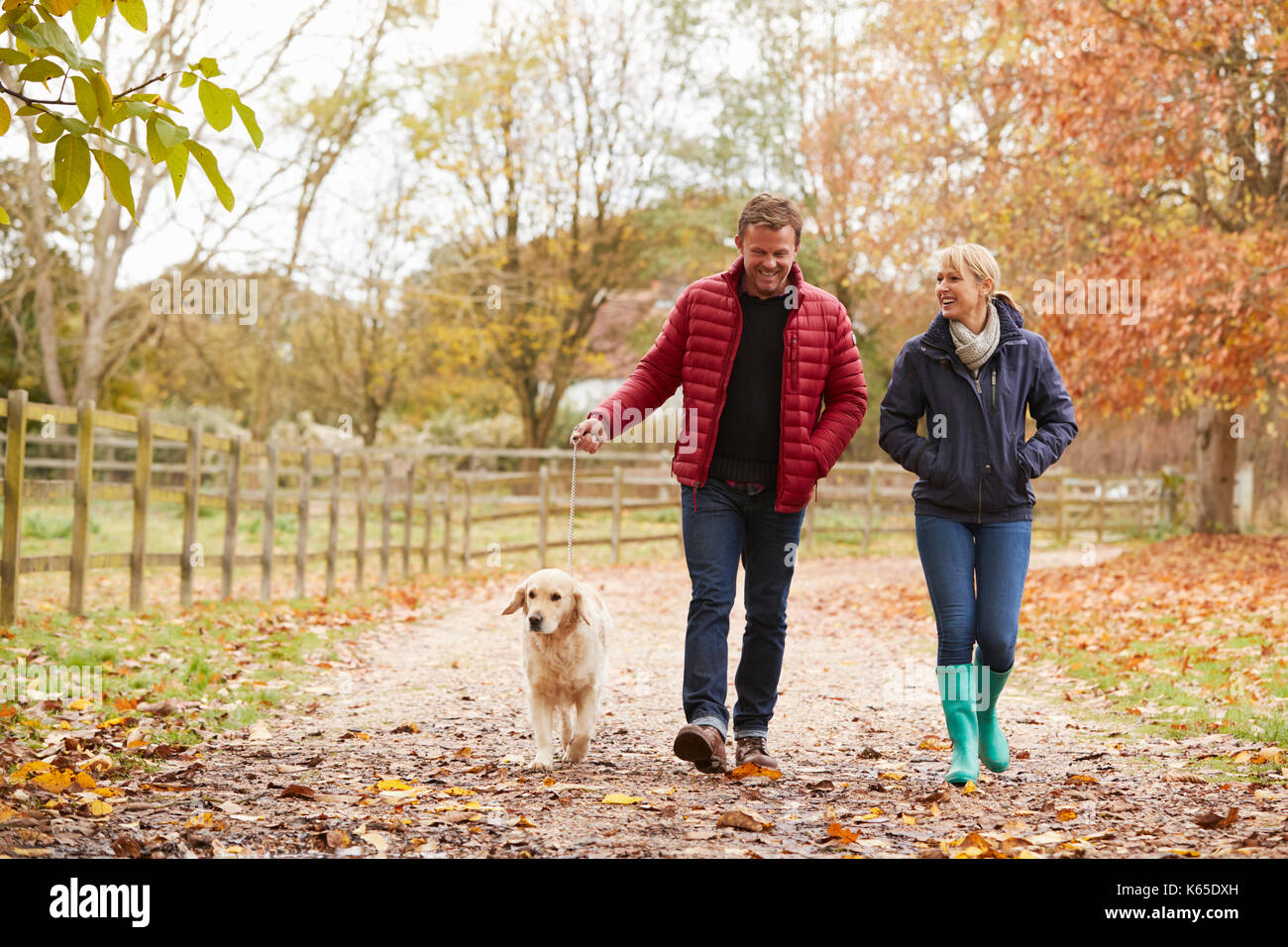 Mature Couple On Autumn Walk With Labrador Stock Photo - Alamy