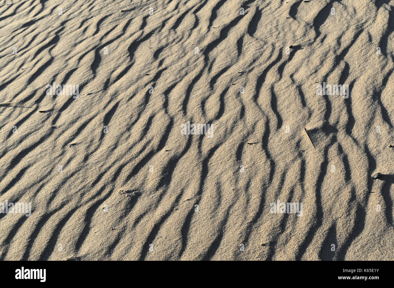Beach sand texture formed by wind. Natural backgrounds Stock Photo - Alamy