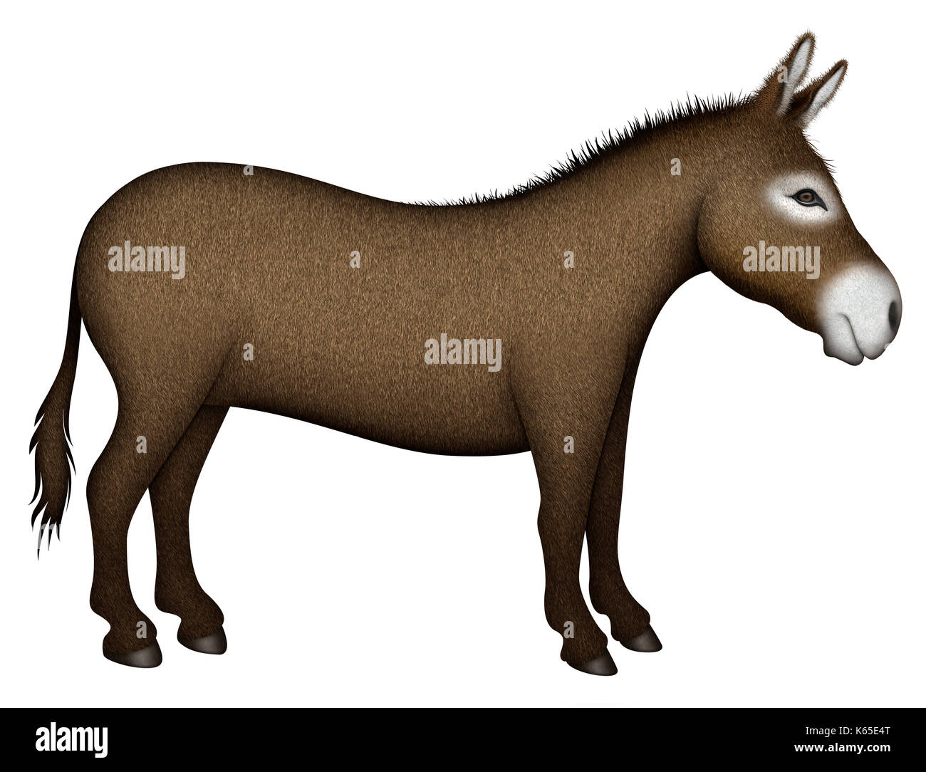 Digital illustration of a donkey — side view Stock Photo - Alamy