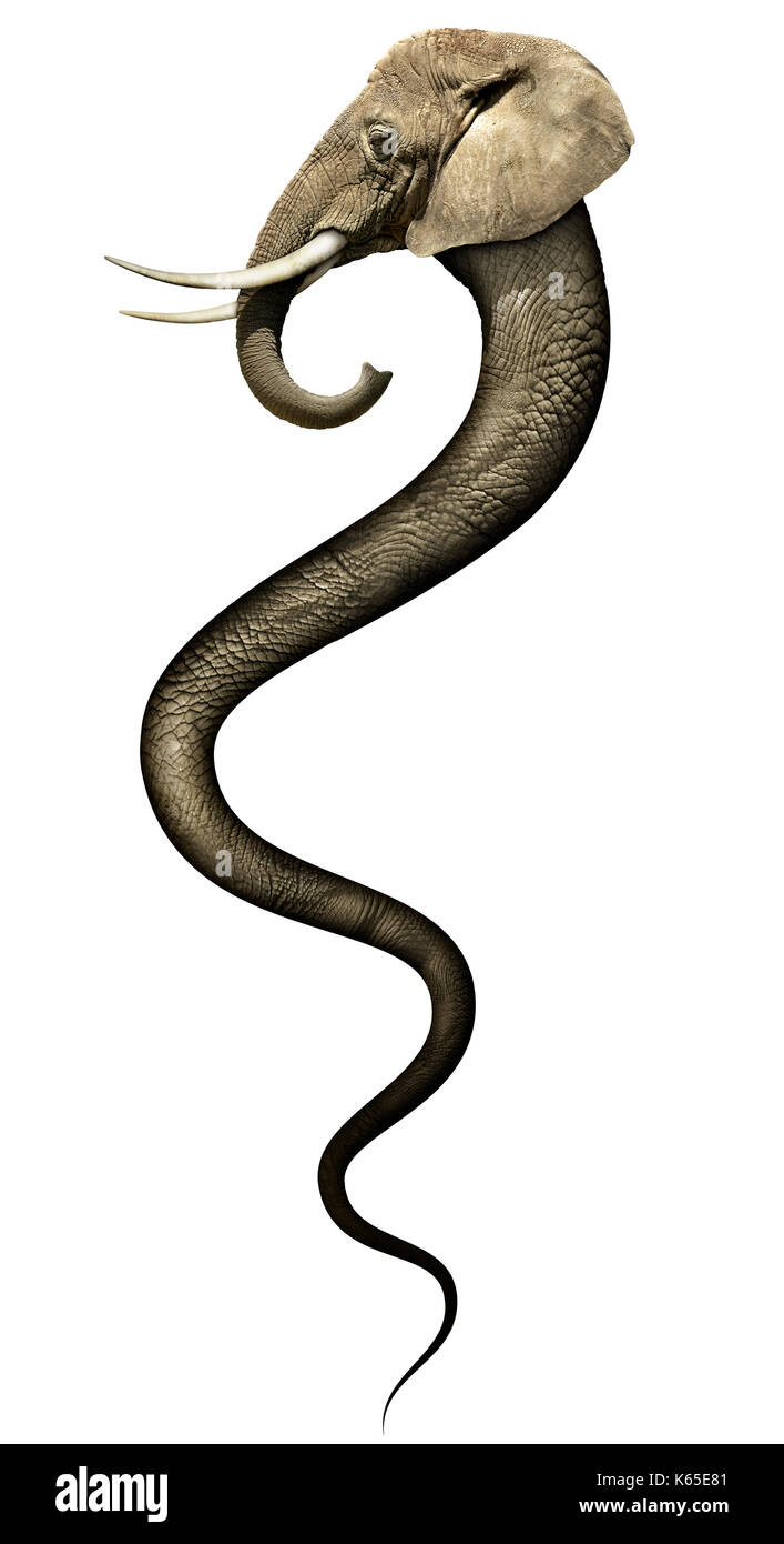 Photo illustration of an elephant in the shape of a snake Stock Photo ...