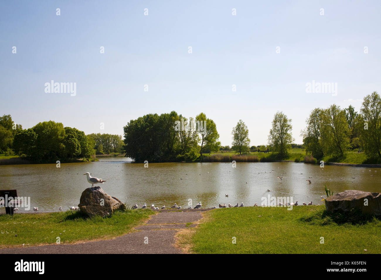 apex park lakes in burnham and highbridge Stock Photo - Alamy