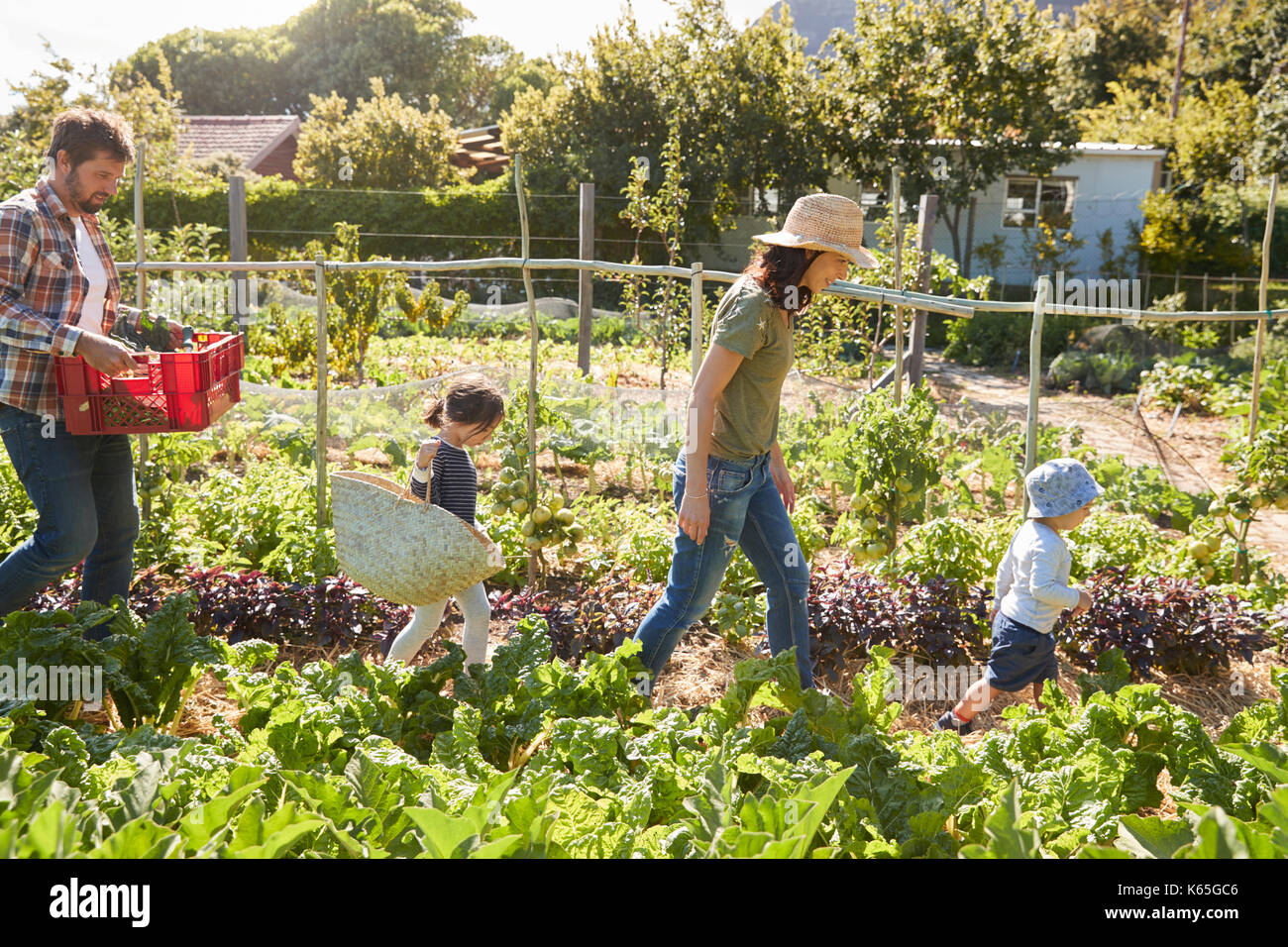 Allotment family hi-res stock photography and images - Alamy