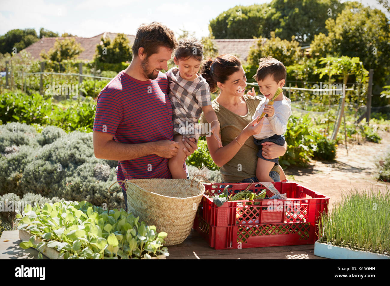 Family Working On Community Allotment Together Stock Photo - Alamy