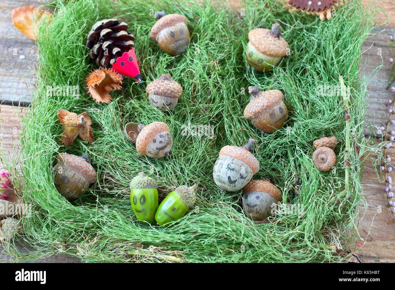 Funny acorn faces Stock Photo - Alamy