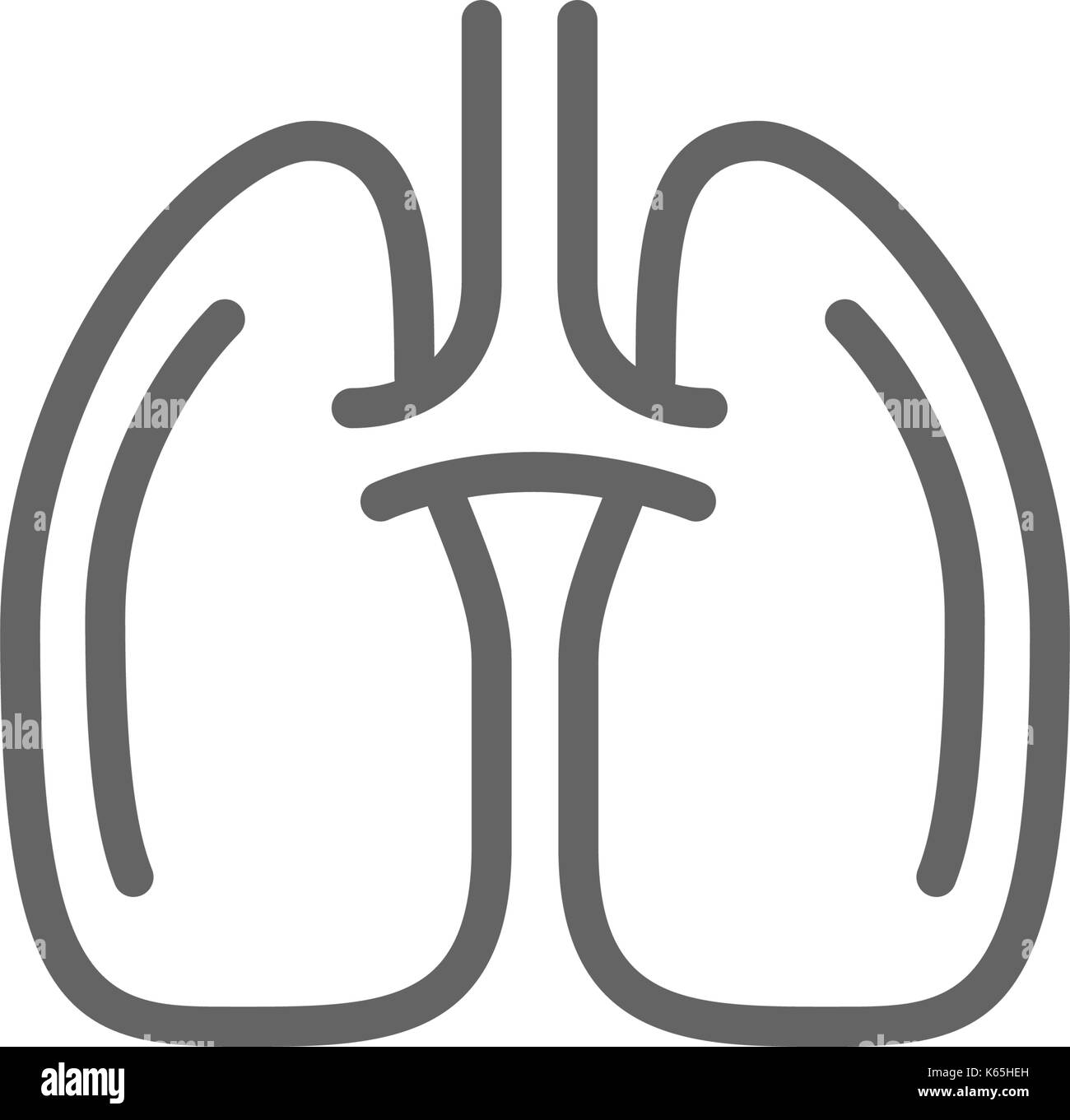 Simple lungs line icon. Symbol and sign vector illustration design ...