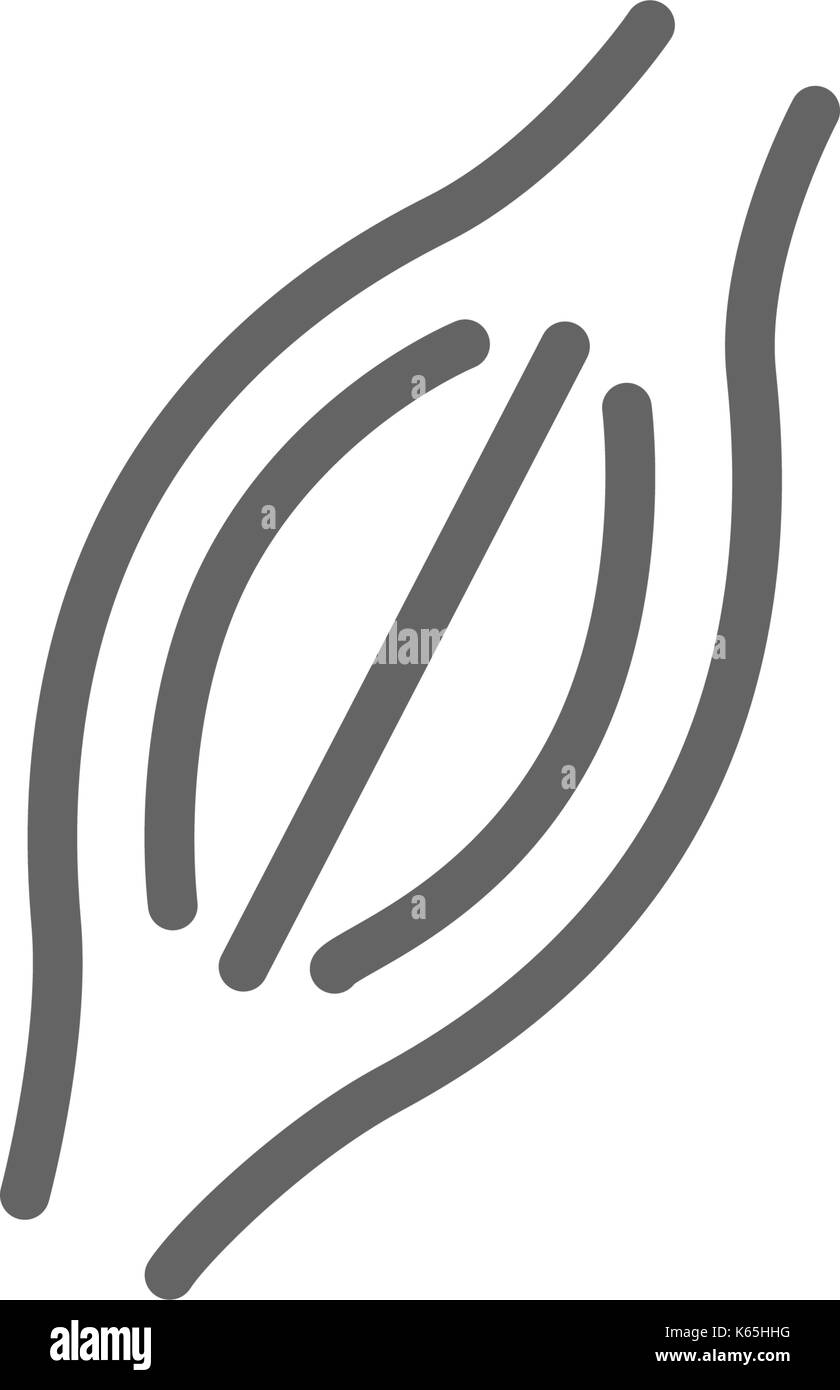 Skeletal muscle cell hi-res stock photography and images - Alamy