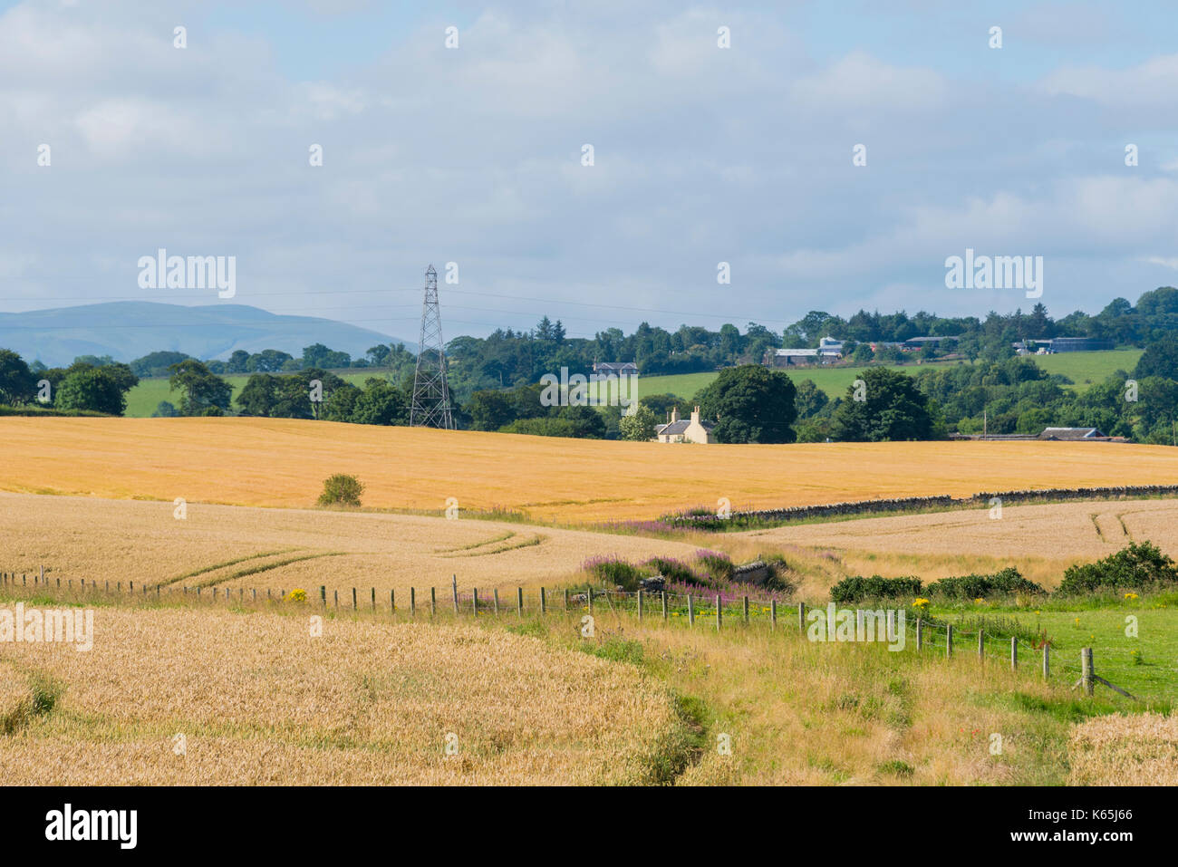 Countryside view hi-res stock photography and images - Alamy