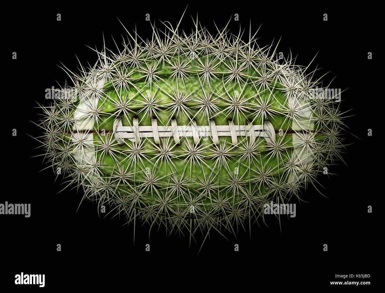 Digital illustration of a football-shaped cactus Stock Photo - Alamy