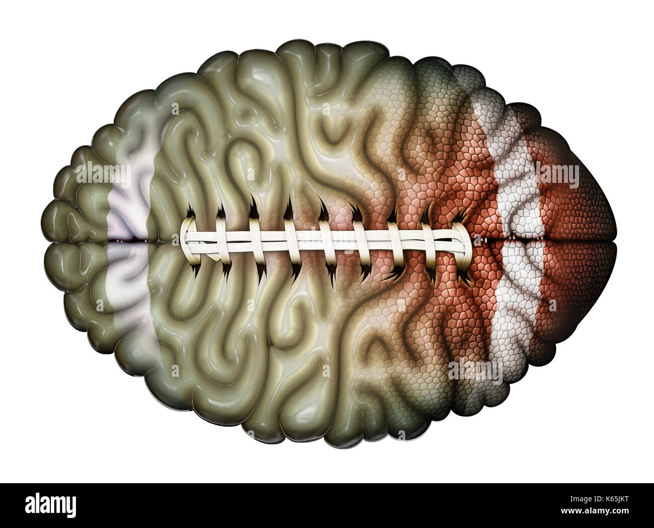 Digital illustration combining a football and a human brain Stock Photo ...