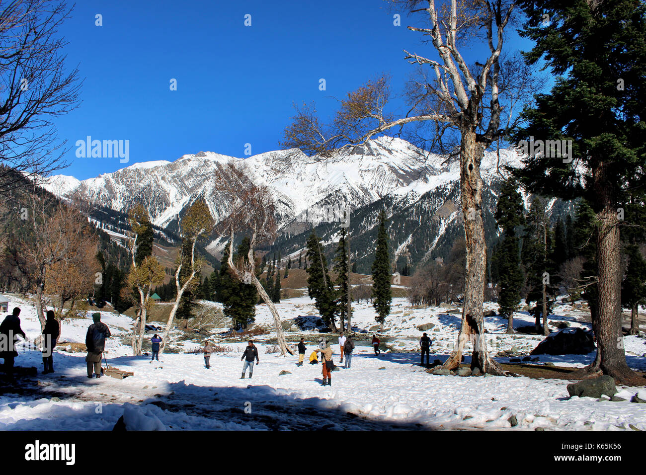 Winter snow mountain valley, Sonmarg in Kashmir, India Stock Photo - Alamy