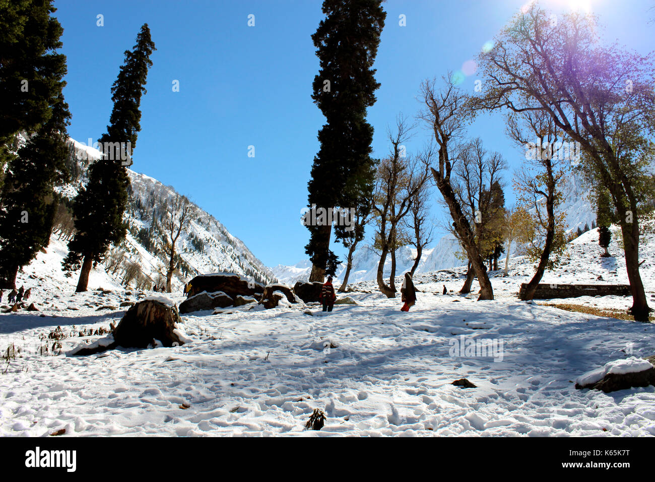 Winter snow mountain valley, Sonmarg in Kashmir, India Stock Photo - Alamy