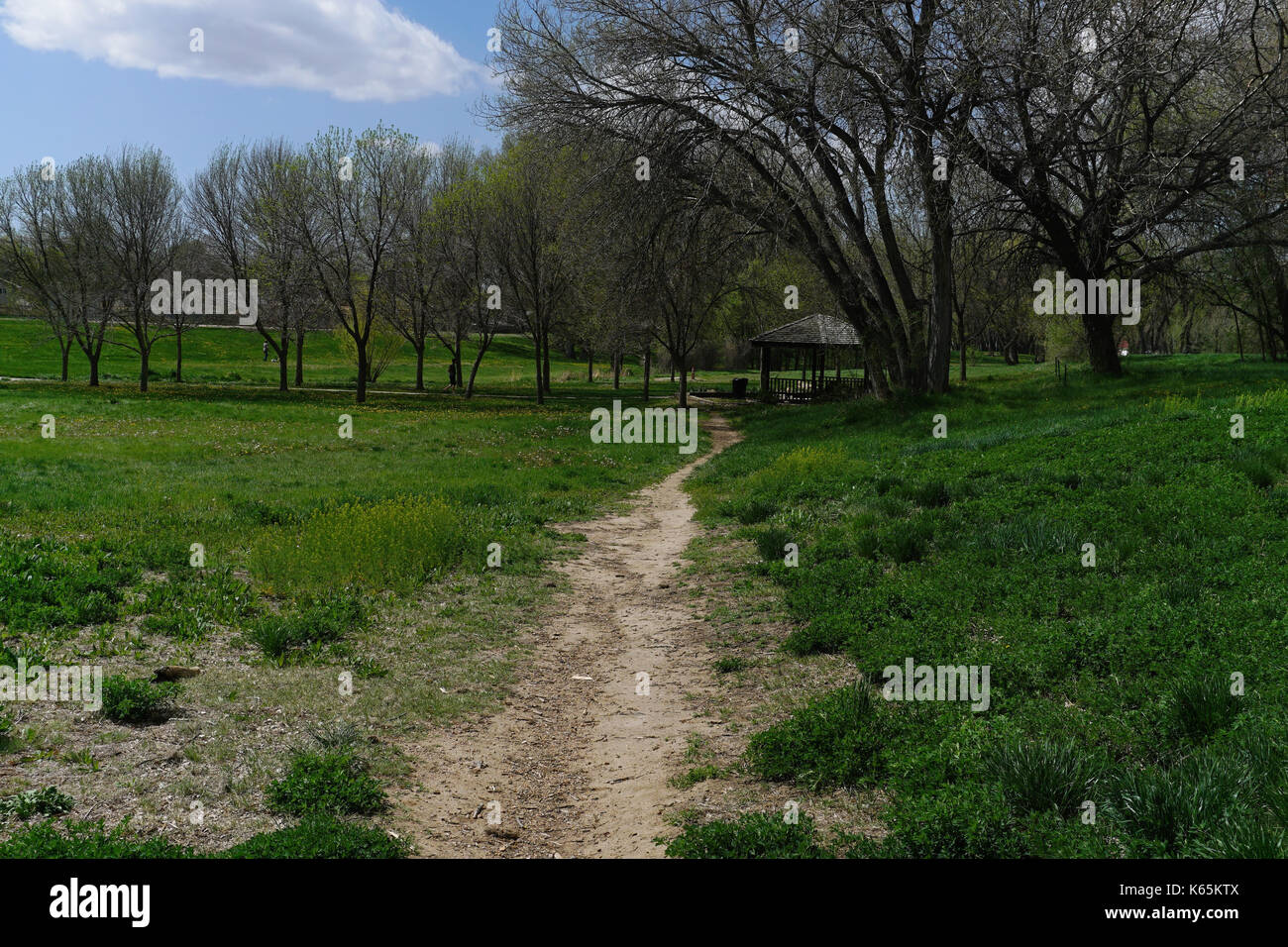 Hiking path and trees Stock Photo - Alamy