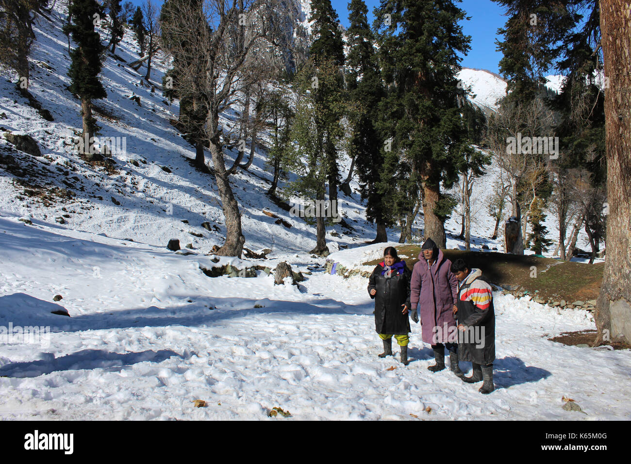 Winter snow mountain valley, Sonmarg in Kashmir, India Stock Photo - Alamy