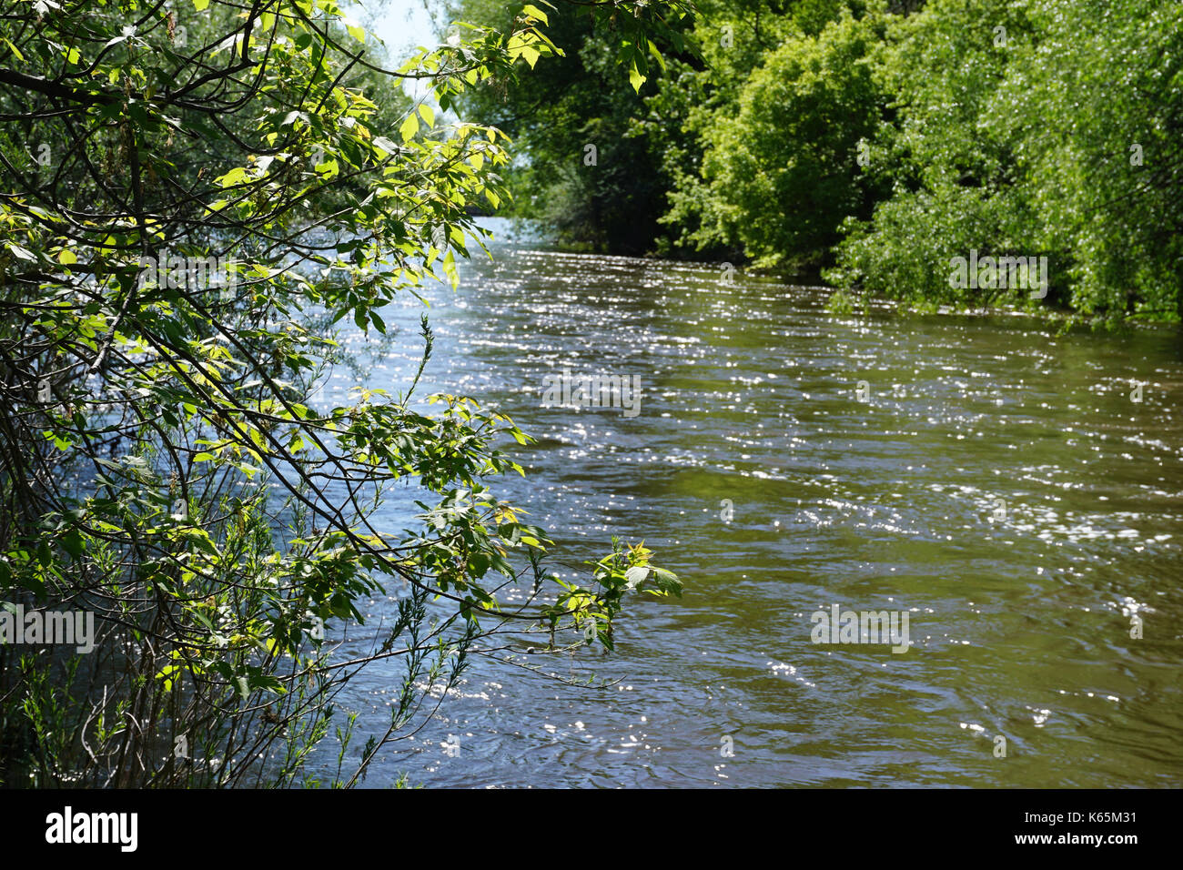 River in fort collins hi-res stock photography and images - Alamy