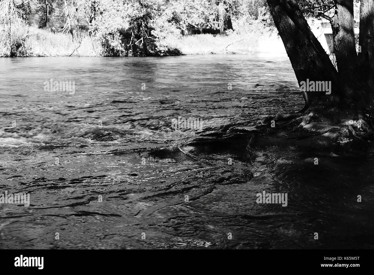 River in fort collins hi-res stock photography and images - Alamy