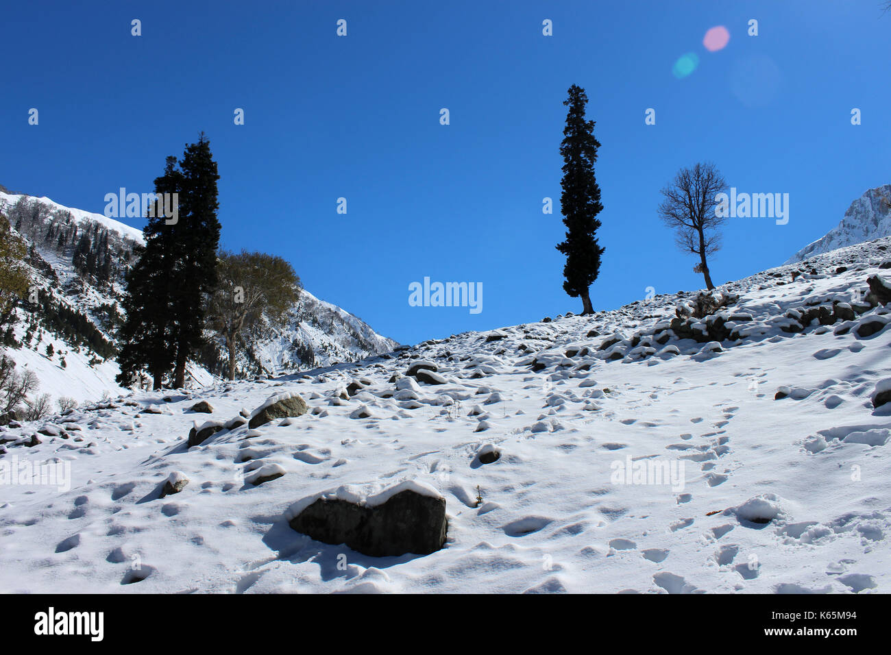 Winter snow mountain valley, Sonmarg in Kashmir, India Stock Photo - Alamy