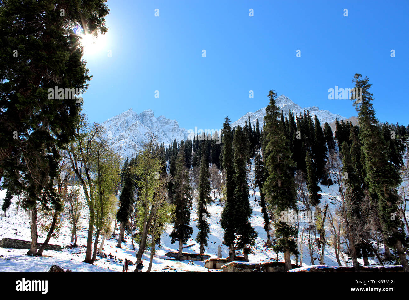 Gulmarg sonmarg hi-res stock photography and images - Alamy