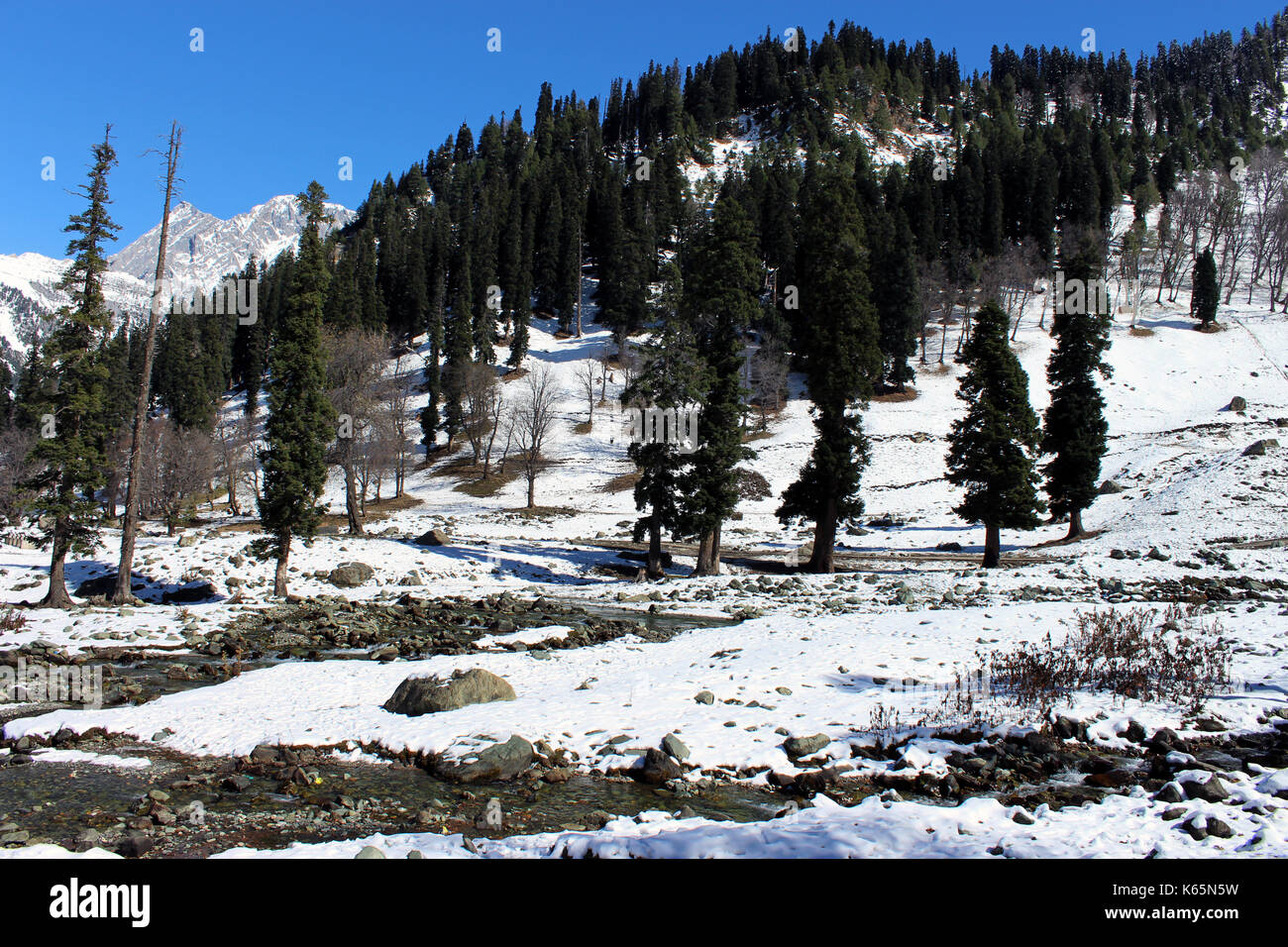 Winter snow mountain valley, Sonmarg in Kashmir, India Stock Photo - Alamy