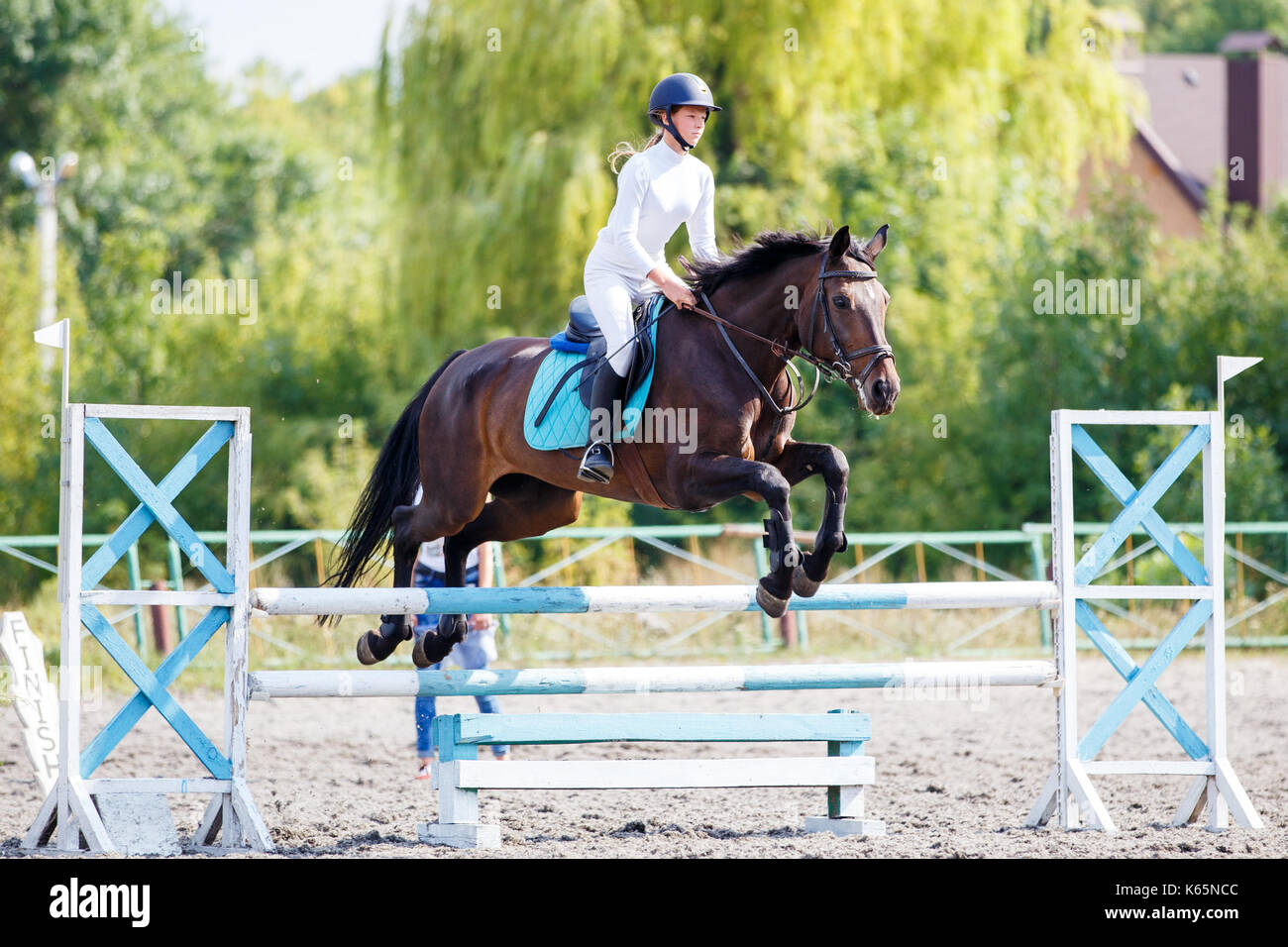 Young rider girl on bay horse jumping over barrier on equestrian sport ...