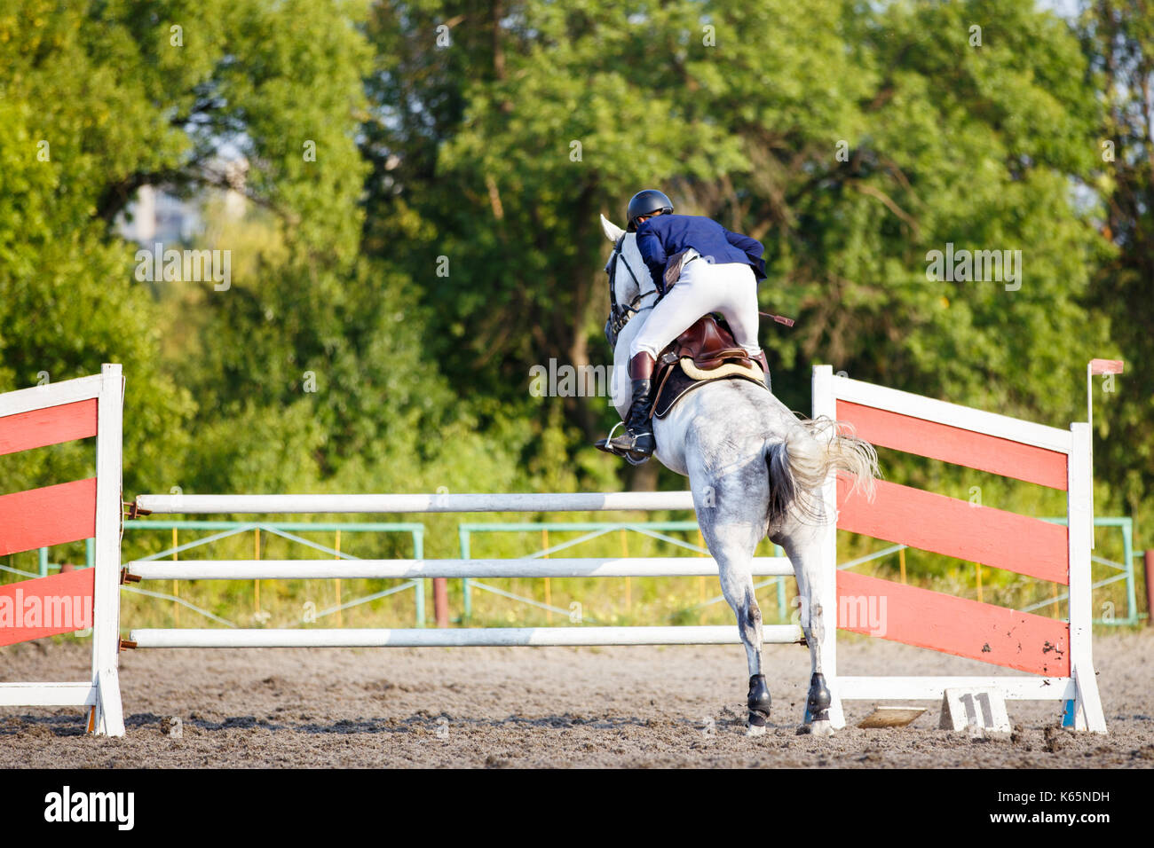 Grey stallion horse rider riding hi-res stock photography and images ...