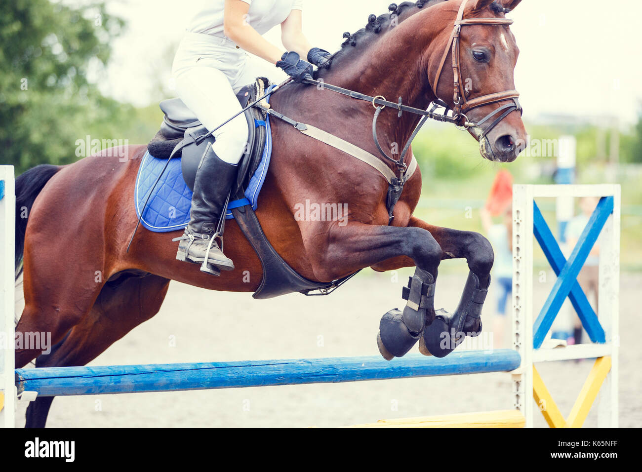 Bay horse with rider jumping over obstacle on show jumping competition ...