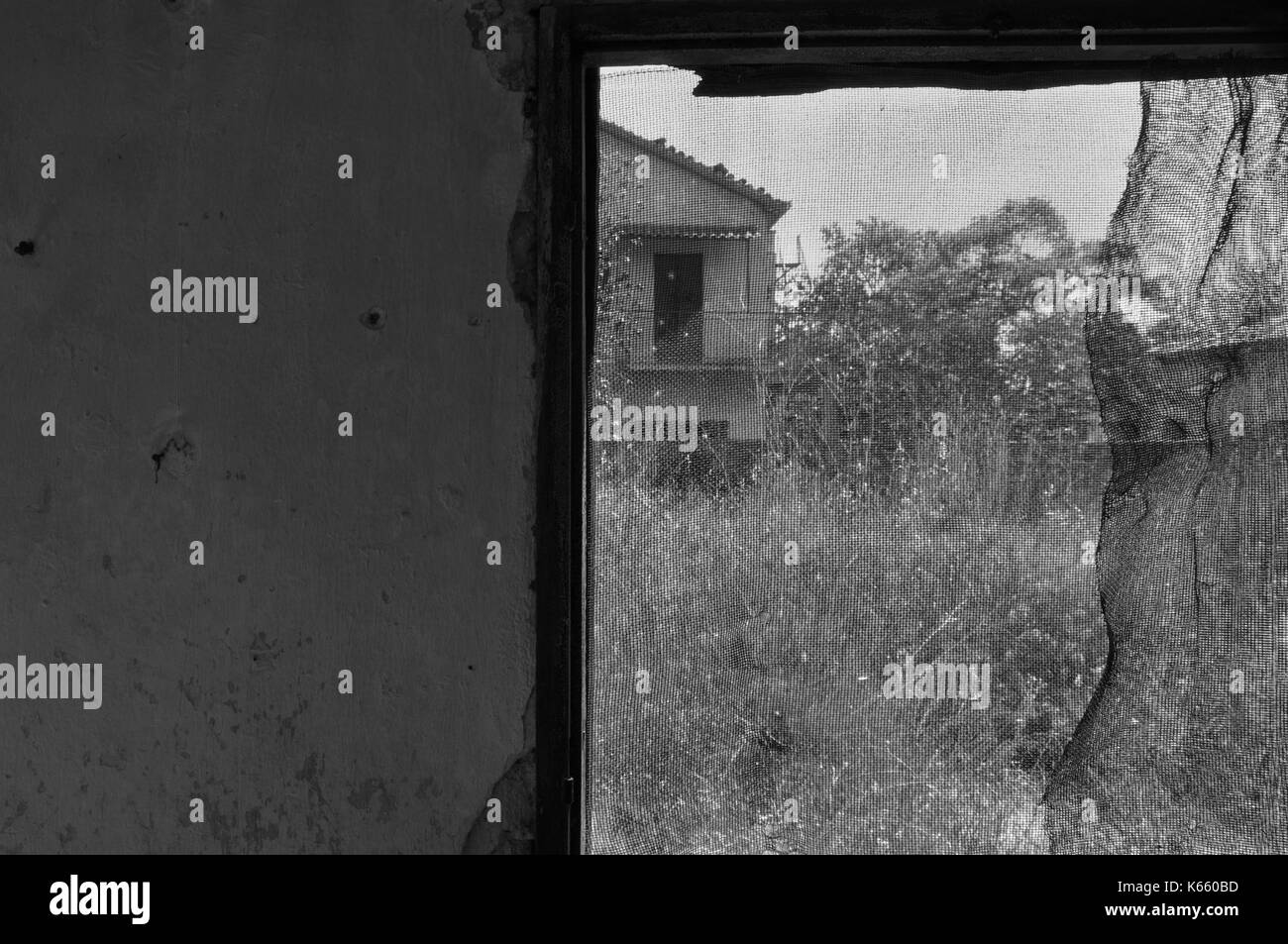 Old crooked window weathered wall and overgrown garden of an abandoned ...