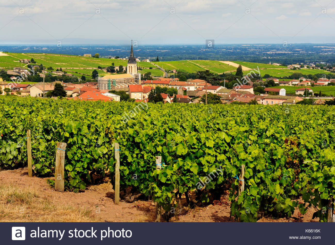 Cote Fleurie High Resolution Stock Photography and Images - Alamy