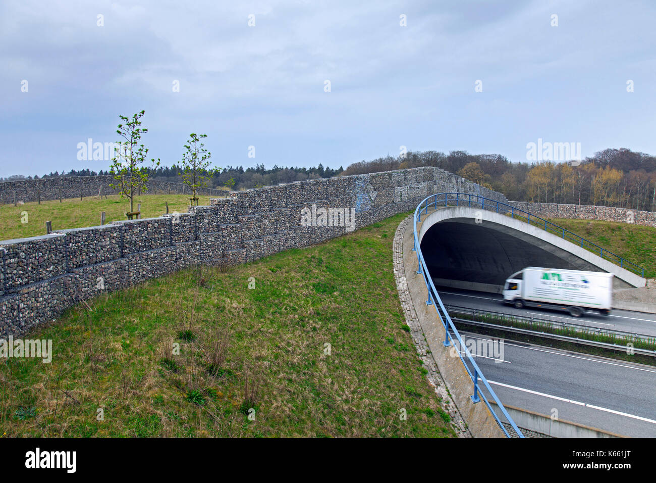 Wildlife bridge / animals overpass / wildlife crossing / ecoduct over ...