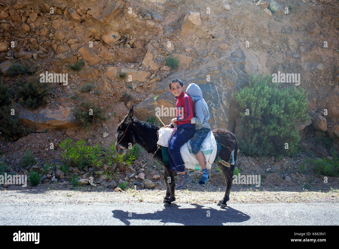 Two children with a donkey hi-res stock photography and images - Alamy
