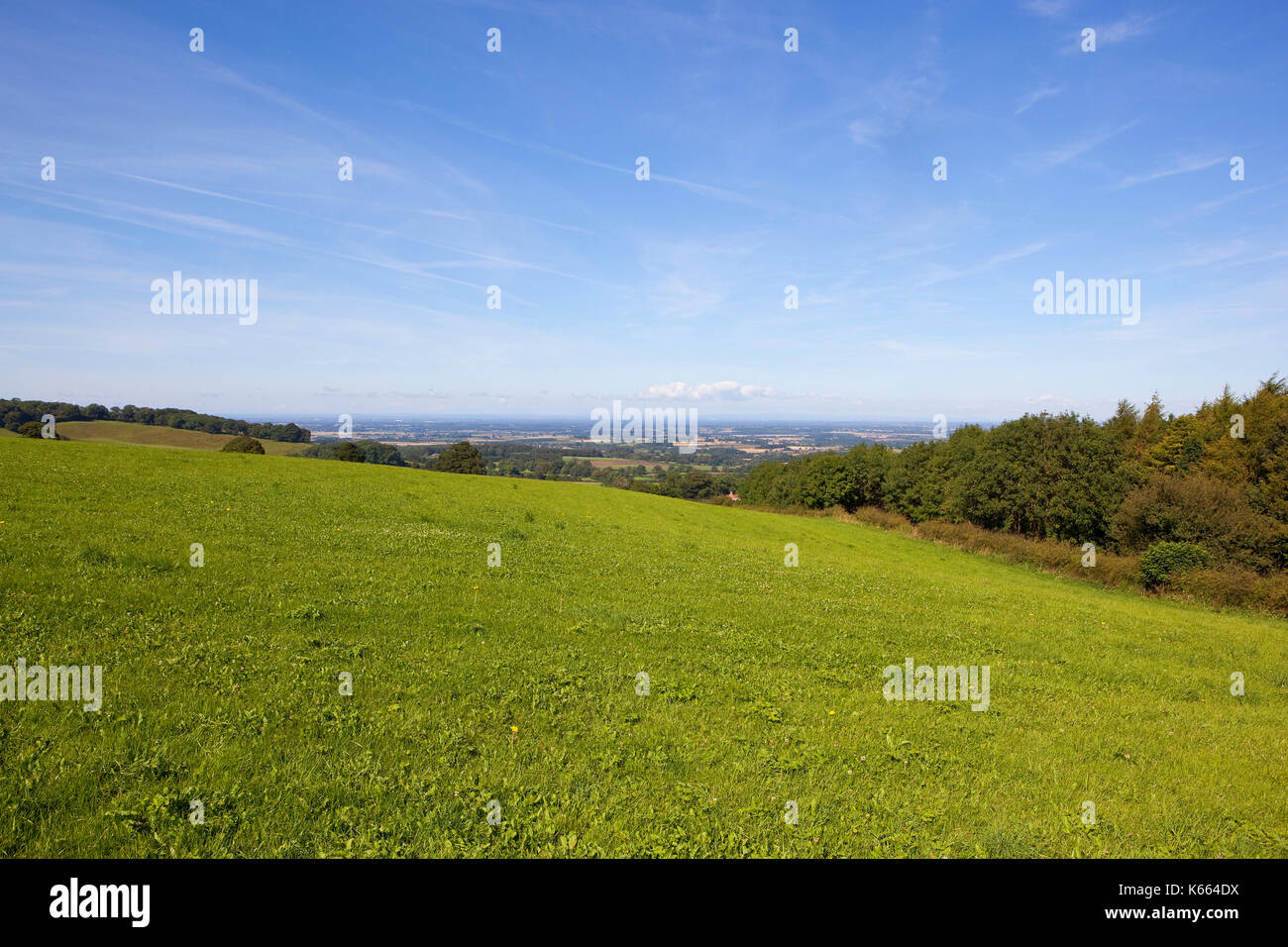 a hillside green pasture overlooking the vale of york under a blue ...