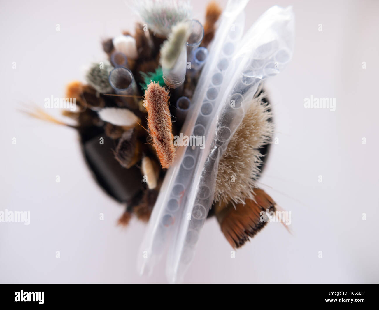 Medium sized objects hi-res stock photography and images - Alamy