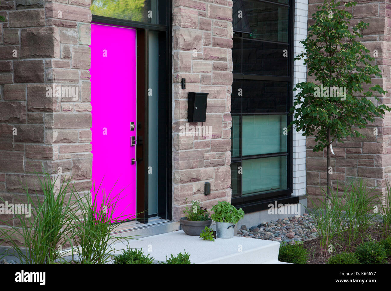 exterior view of a brick entryway with steps, plants and a bright pink ...