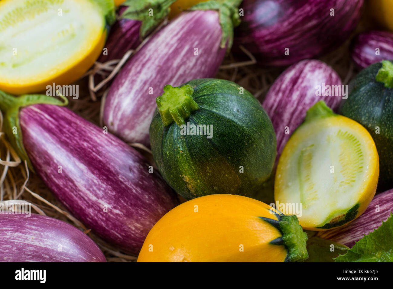 Fresh colorful organic vegetables background or wallpaper - round ...