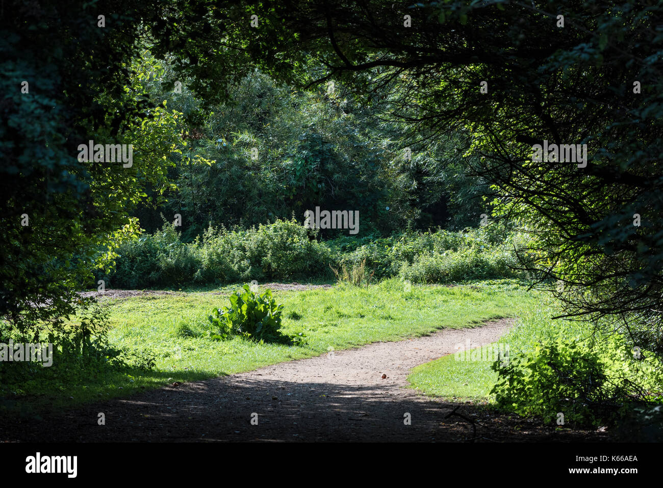 Through this arch hi-res stock photography and images - Alamy