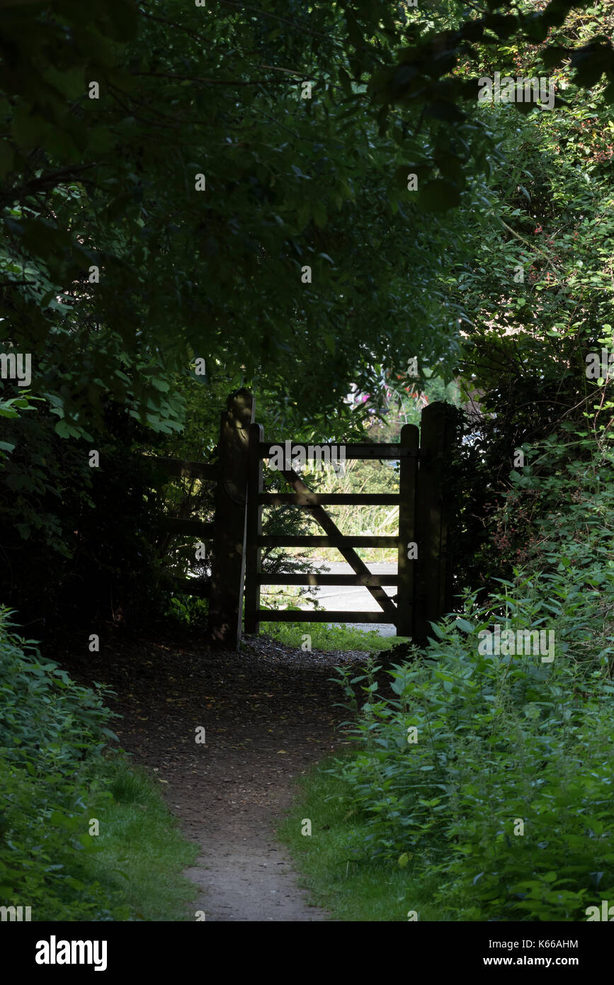 Secret hidden gate in trees Stock Photo - Alamy