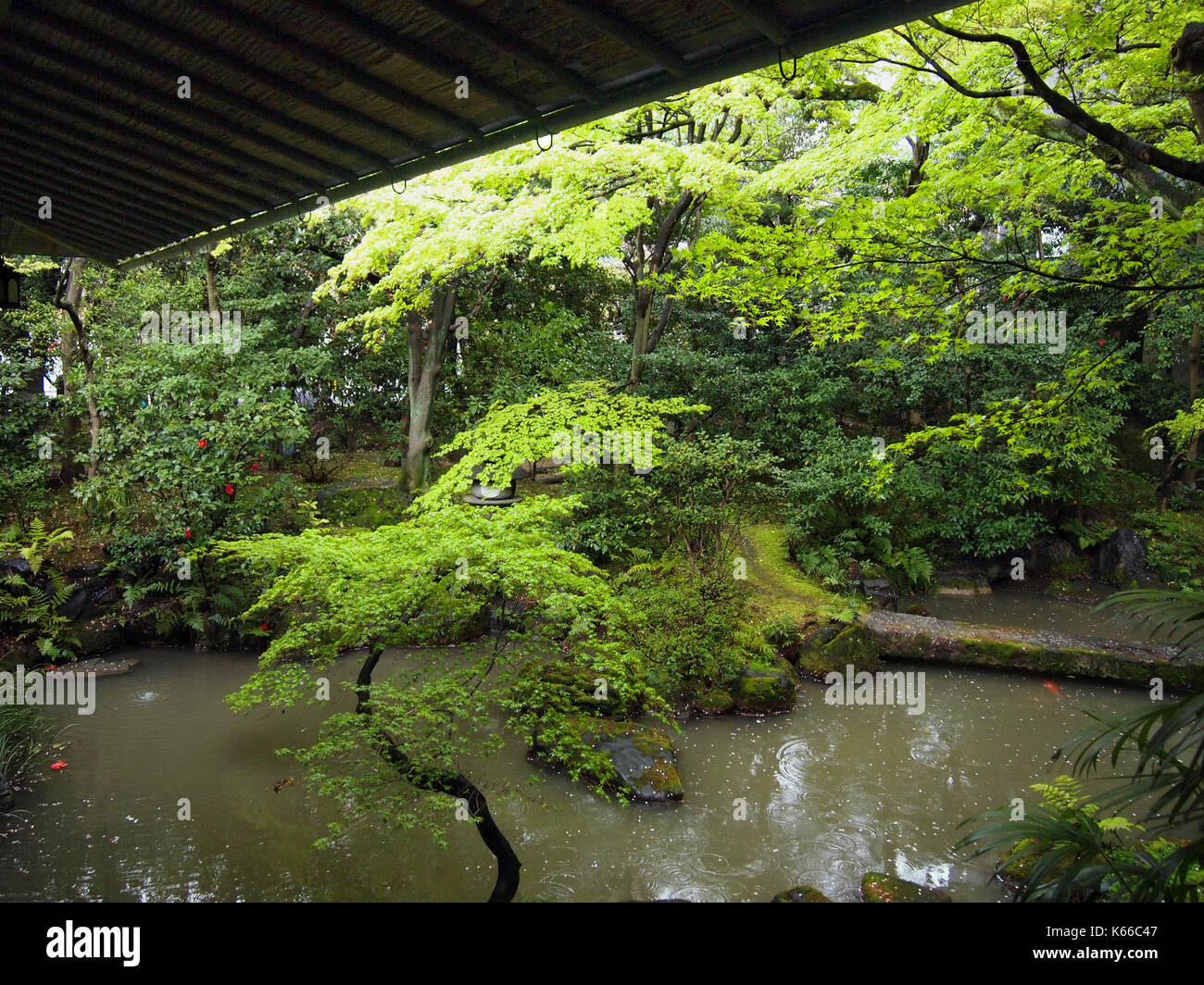 Rinzai school hi-res stock photography and images - Alamy