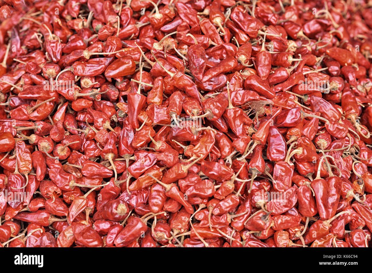 Crop dried up hi-res stock photography and images - Alamy