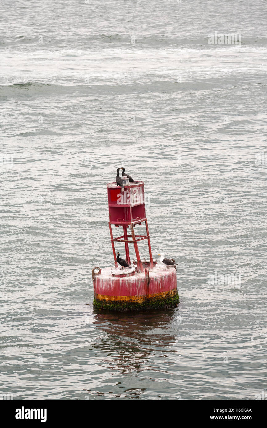 Spectacle island massachusetts hi-res stock photography and images - Alamy