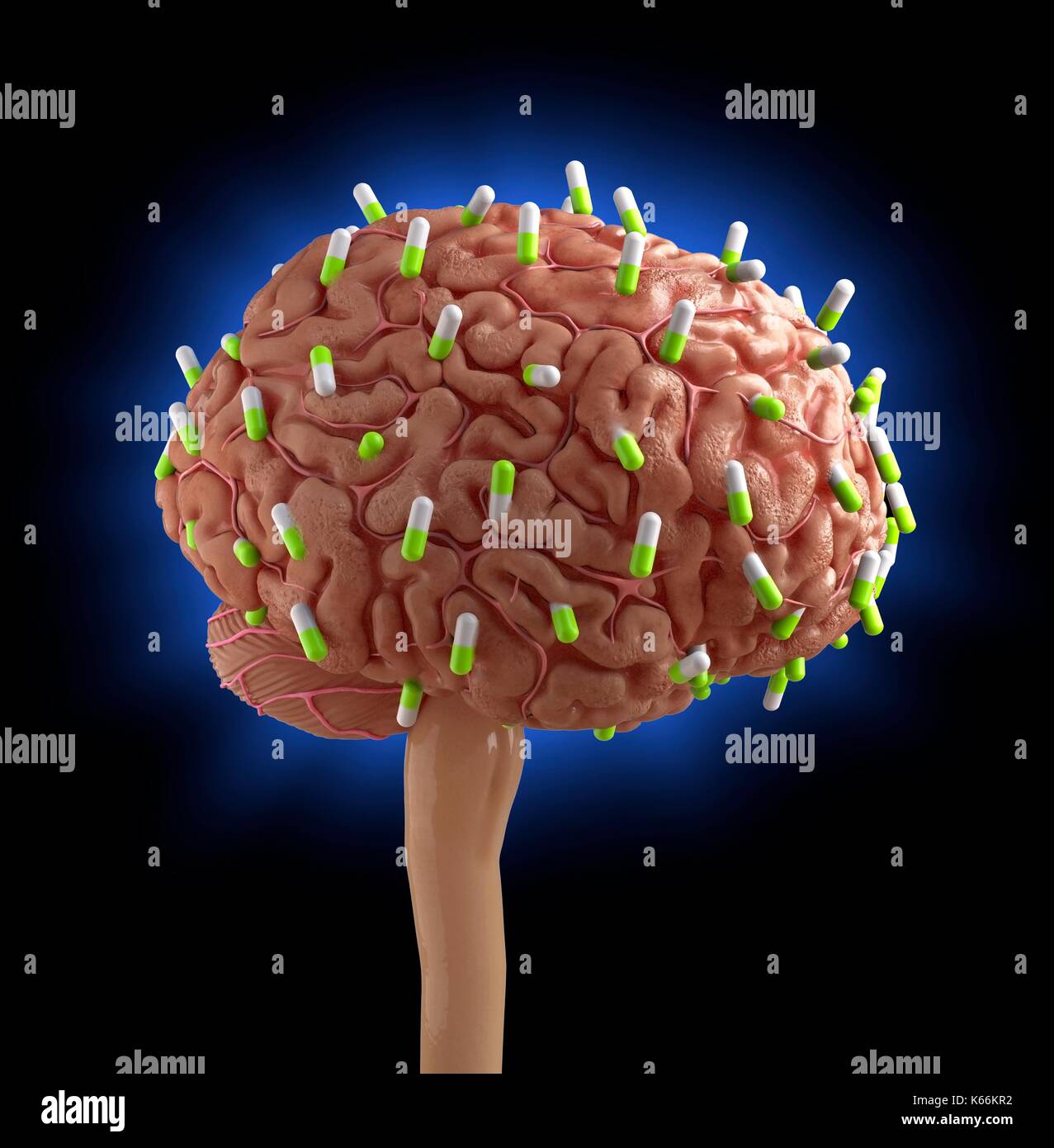Human brain with pills, illustration Stock Photo - Alamy