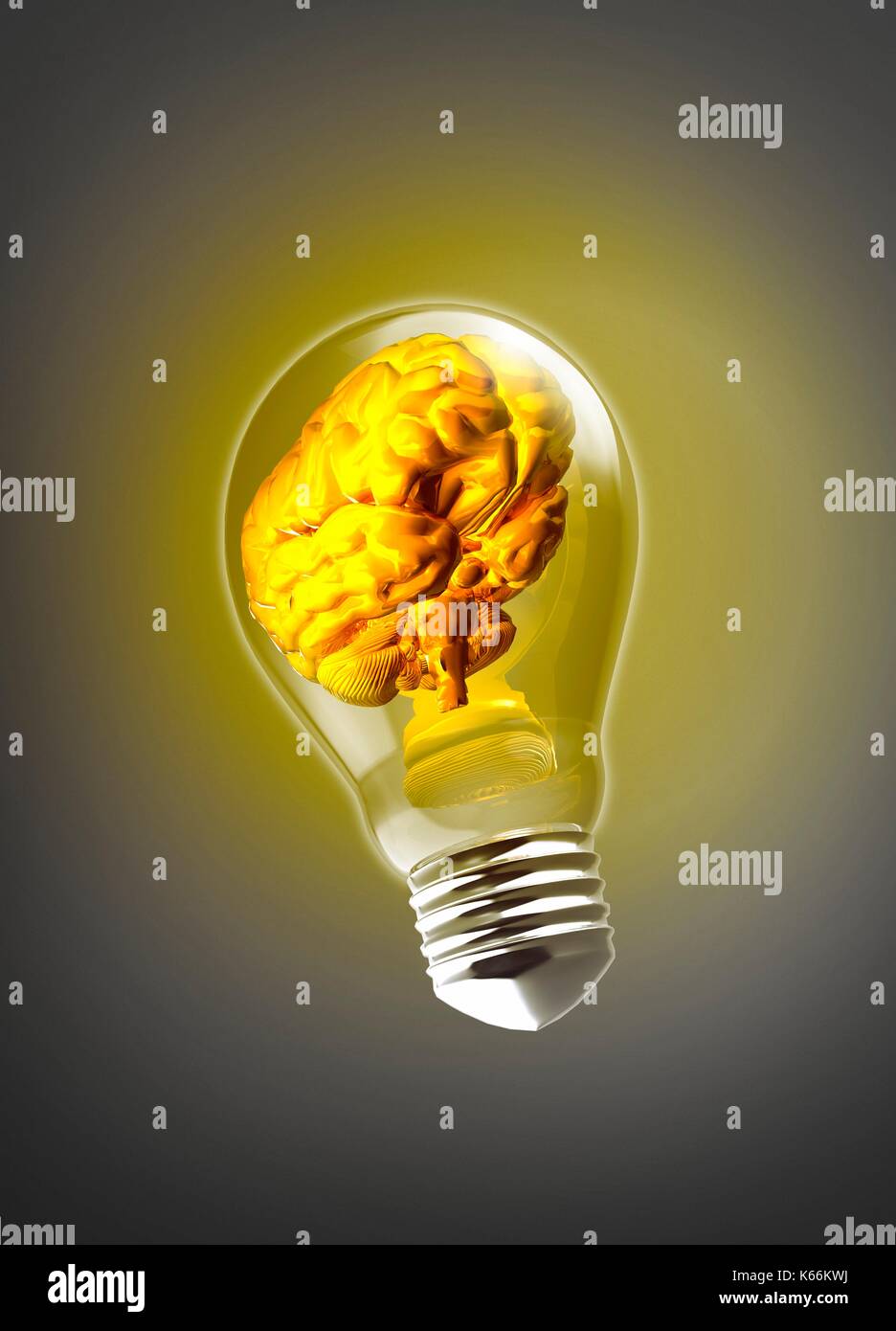 Human brain inside light bulb, illustration Stock Photo - Alamy