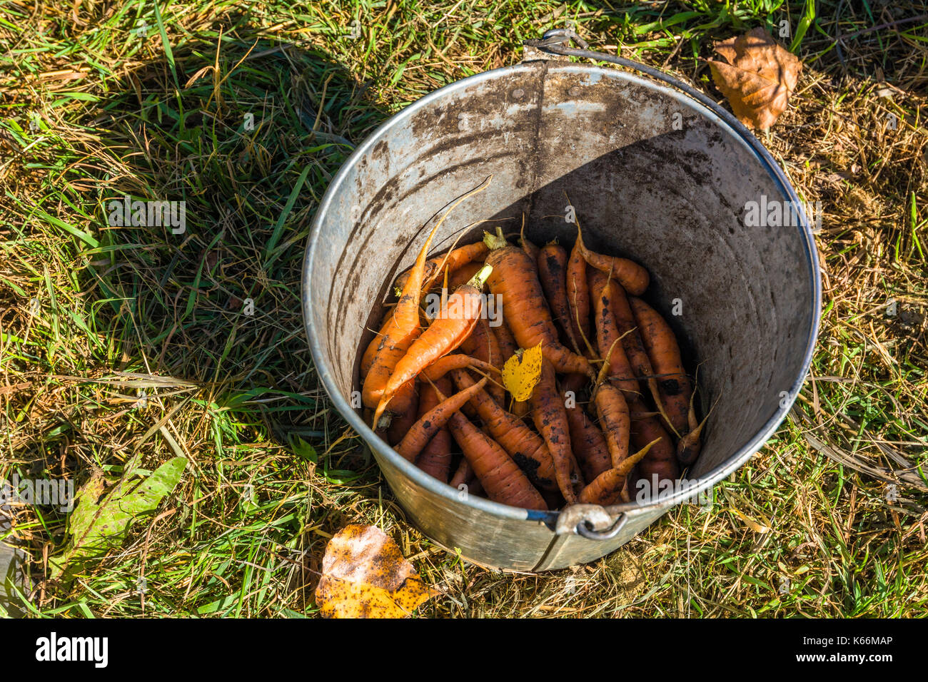 Homesteading lifestyle hi-res stock photography and images - Alamy