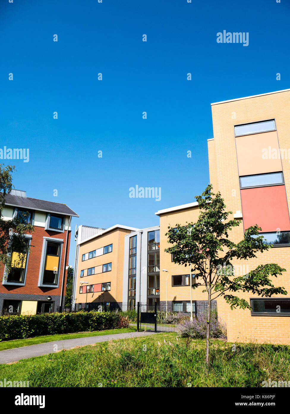 Student Accommodation, University of Reading, Whiteknights, Reading ...